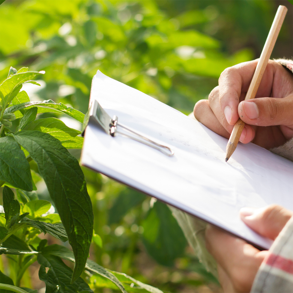 MGI International Ltd. – Innovating Greener for a Sustainable Future